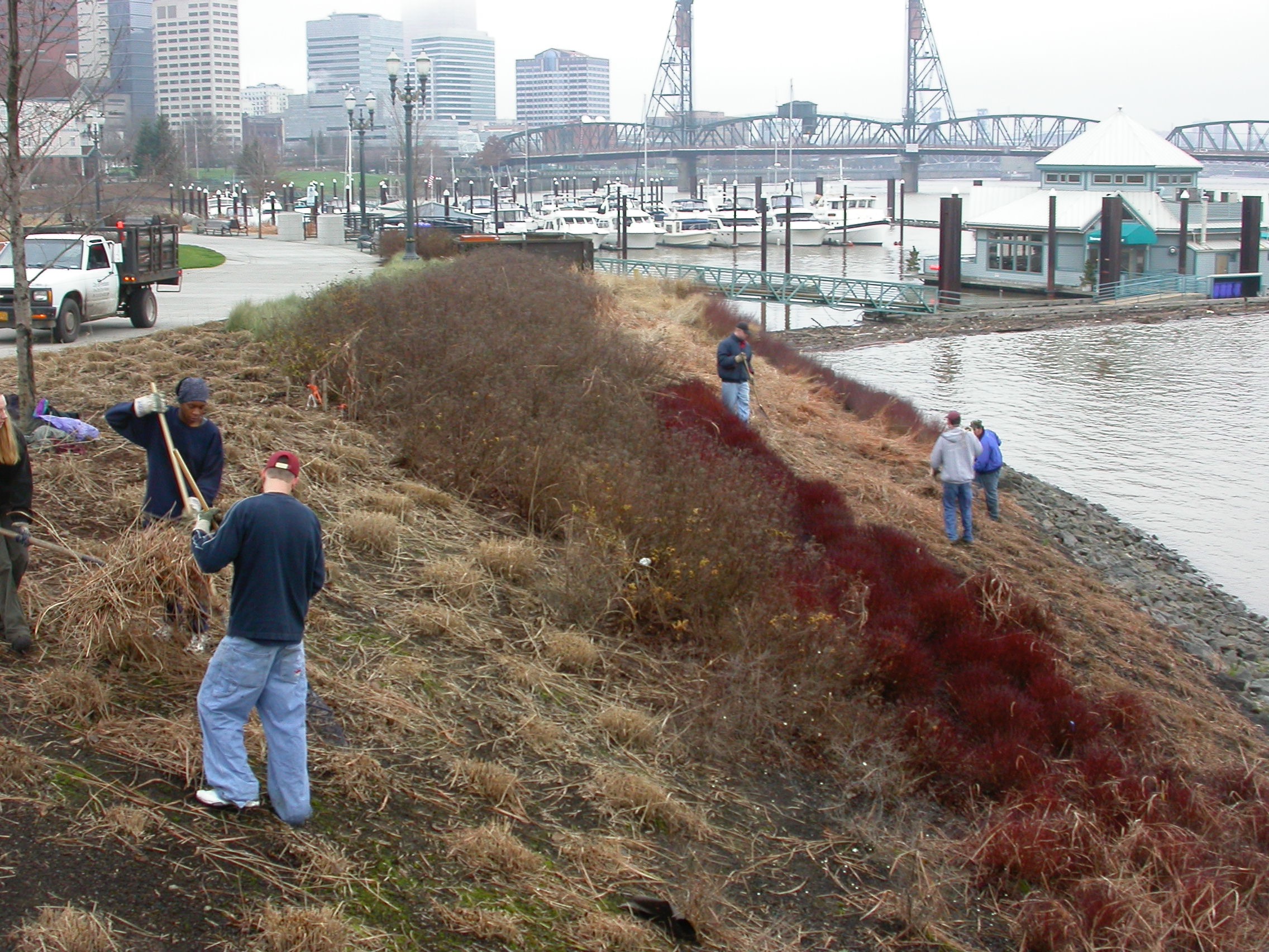 What Really is a Sustainable Landscape & Why it Matters | GardenRiots