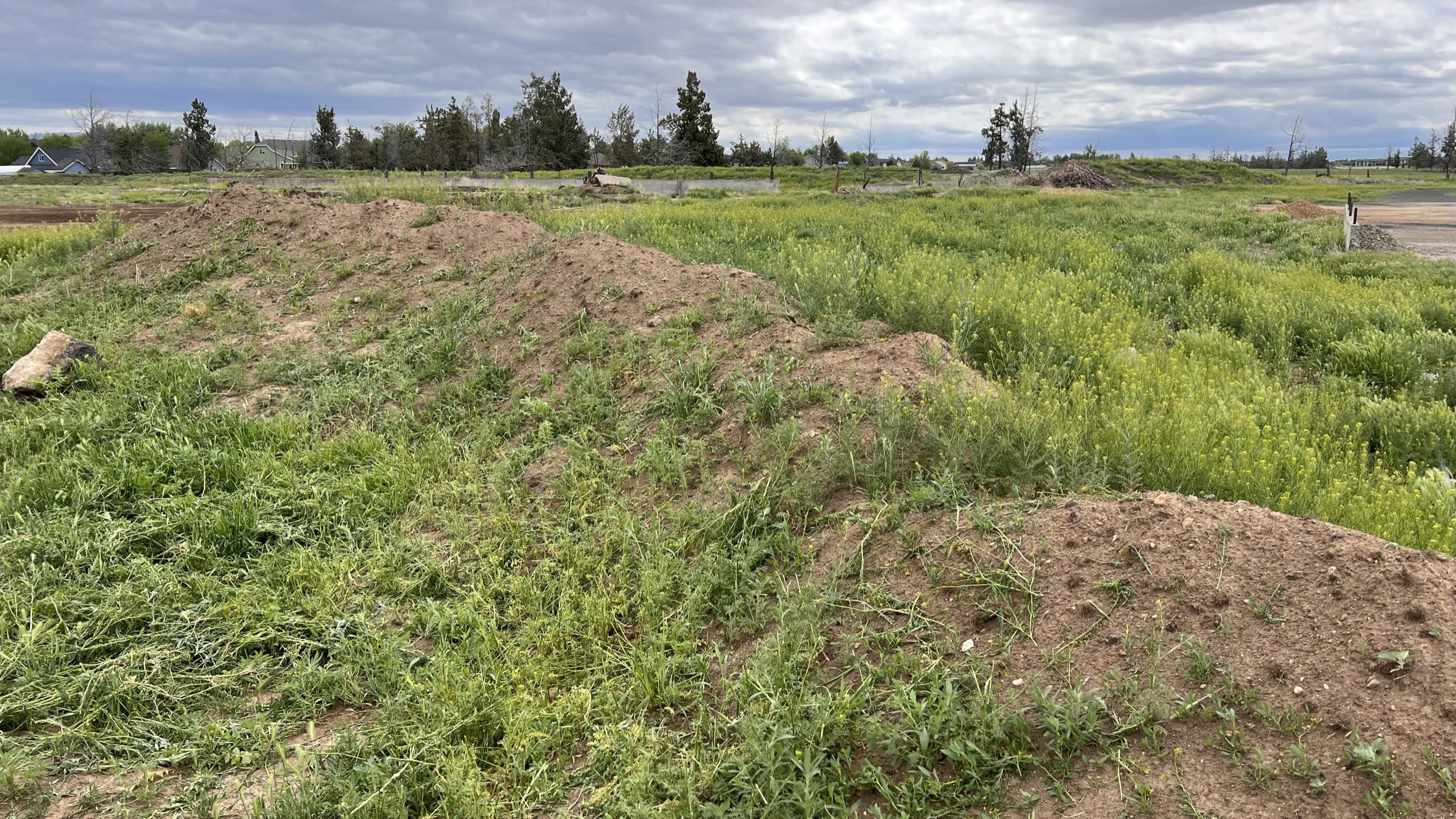 Weeds, Weeding and the Health of Our Public and Private Landscapes: an ...