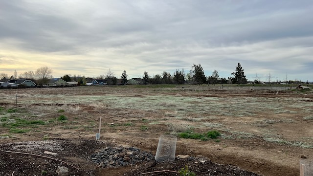 Weeds, Weeding and the Health of Our Public and Private Landscapes: an ...